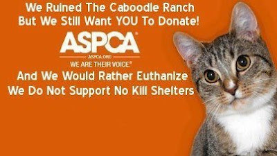 Self-Knowledge and Self-Realization: The Terrifying Truth About ASPCA ...