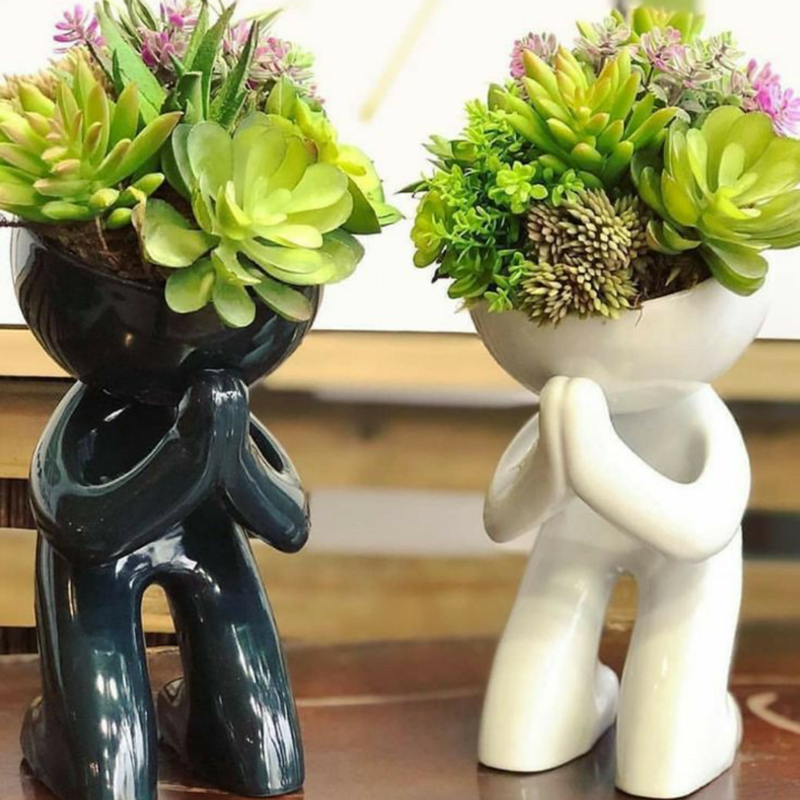 Pot Tanaman Lucu dan Unik - idrora