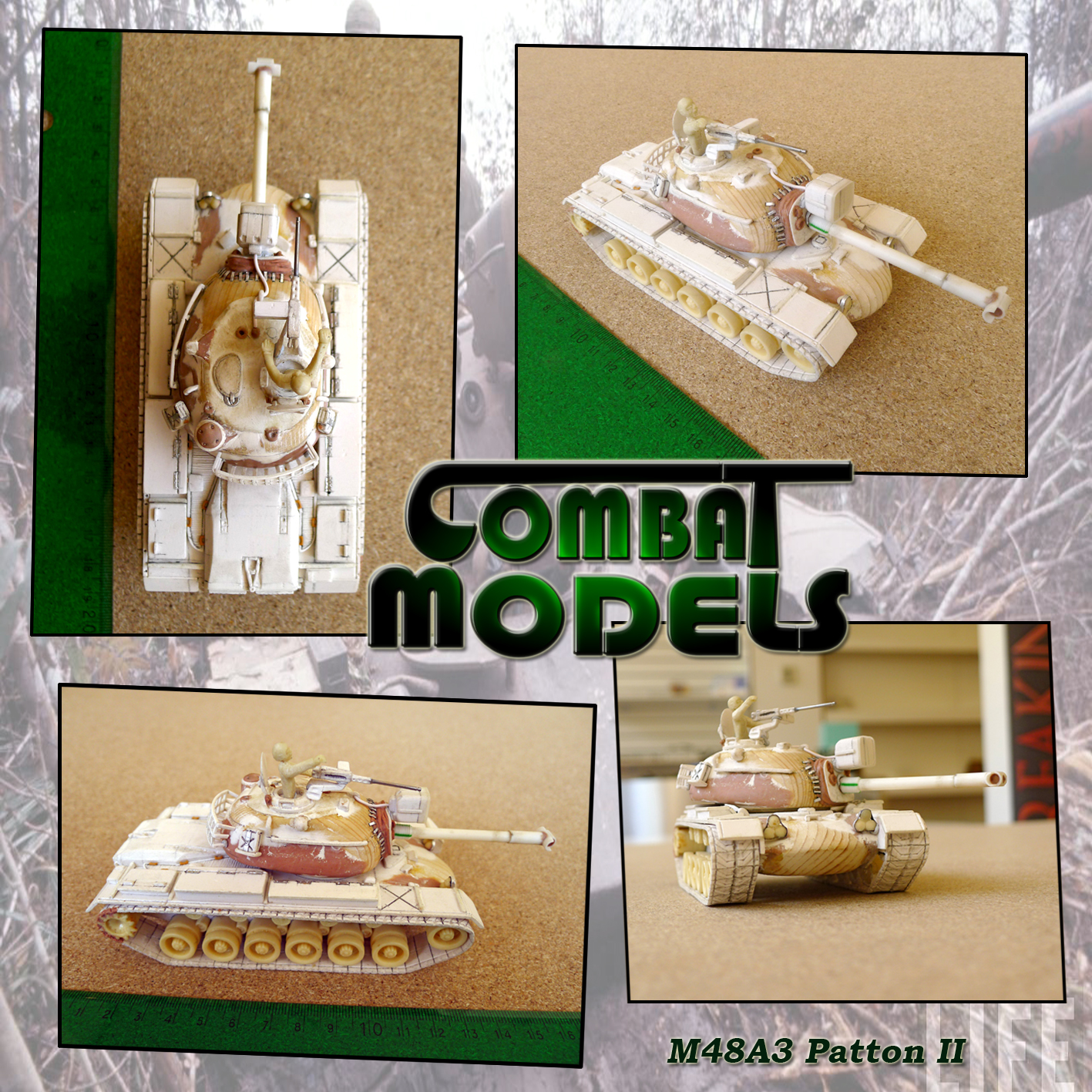 COMBAT MODELS: 2013