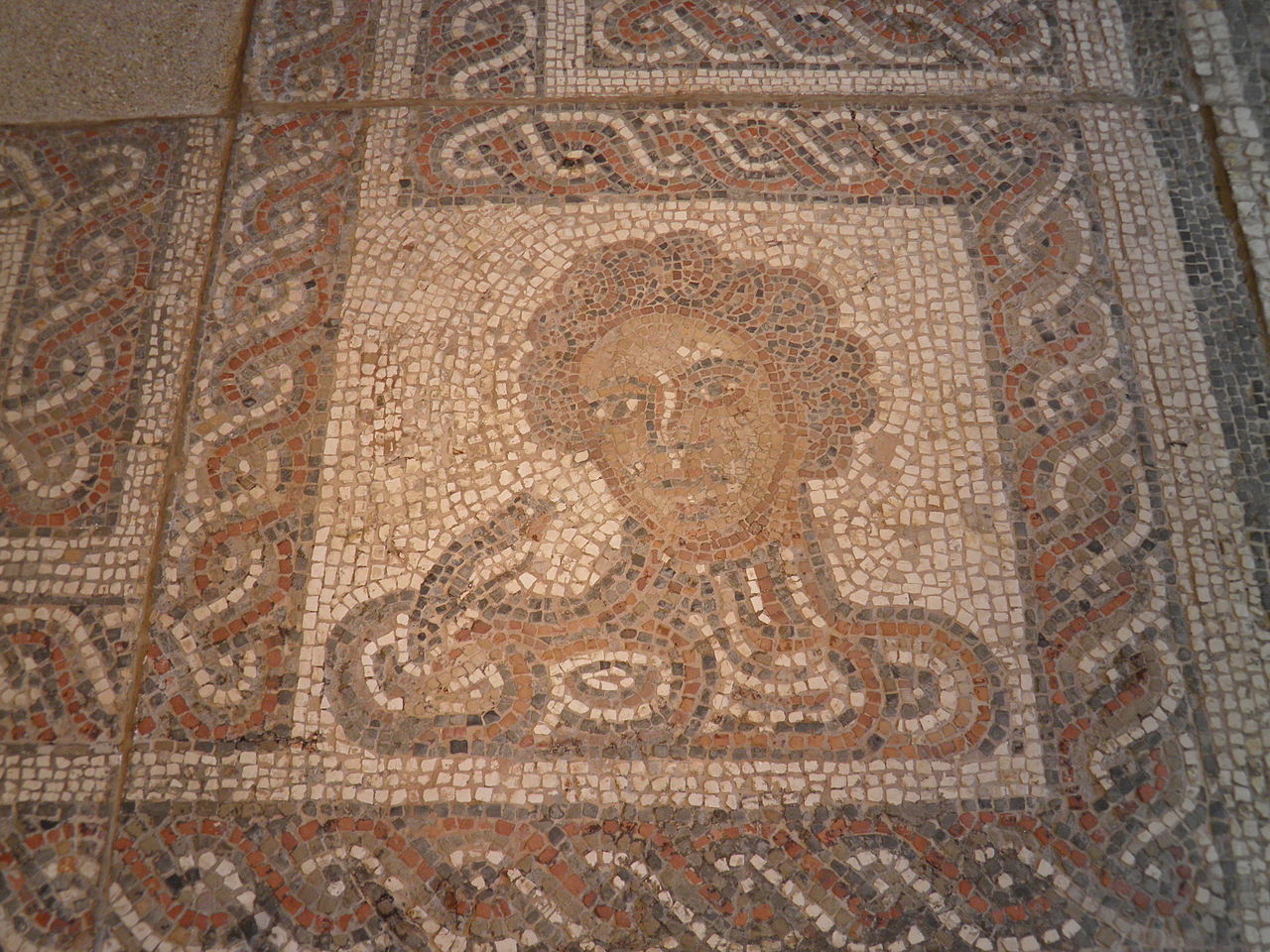 Roman Times: August 2020