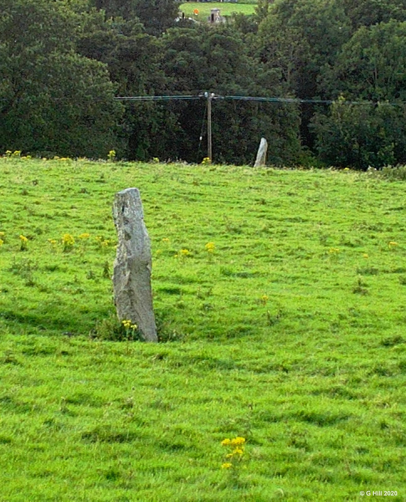 Ireland In Ruins: Rockbrook Standing Stones Co Dublin