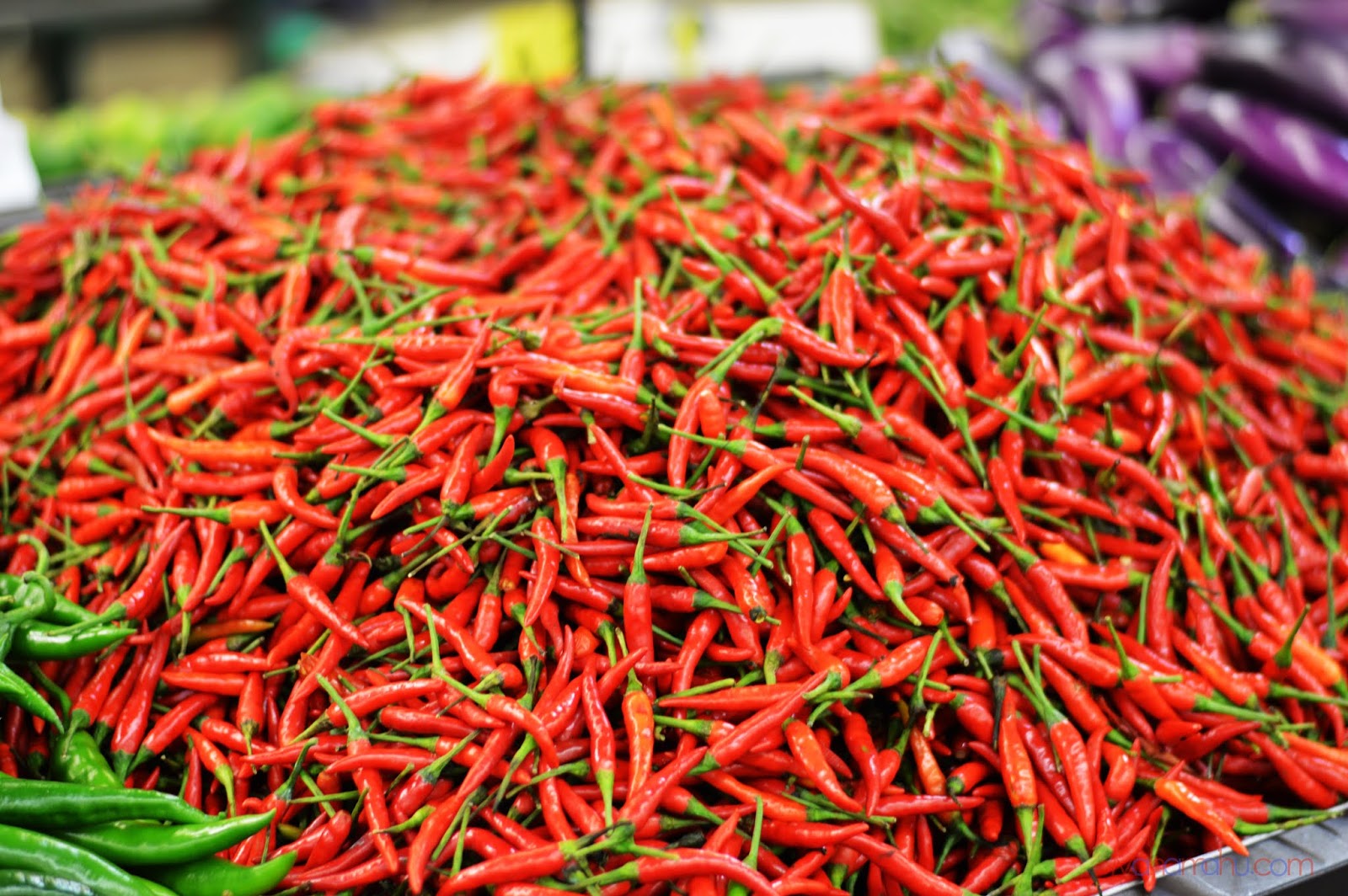 Masa Untuk Beli-Belah Barang Masak Yang Segar Dan Murah di Segi Fresh ...