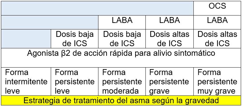 HISTOLOGÍA un enfoque clínico: ASMA