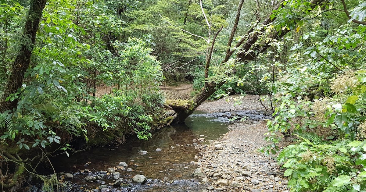 Tramping the Tararuas: Blue Range Hut