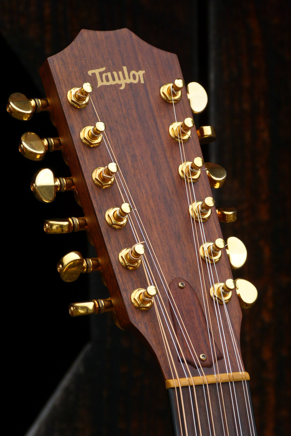 1984 Taylor 555 12-String Jumbo Flattop Guitar