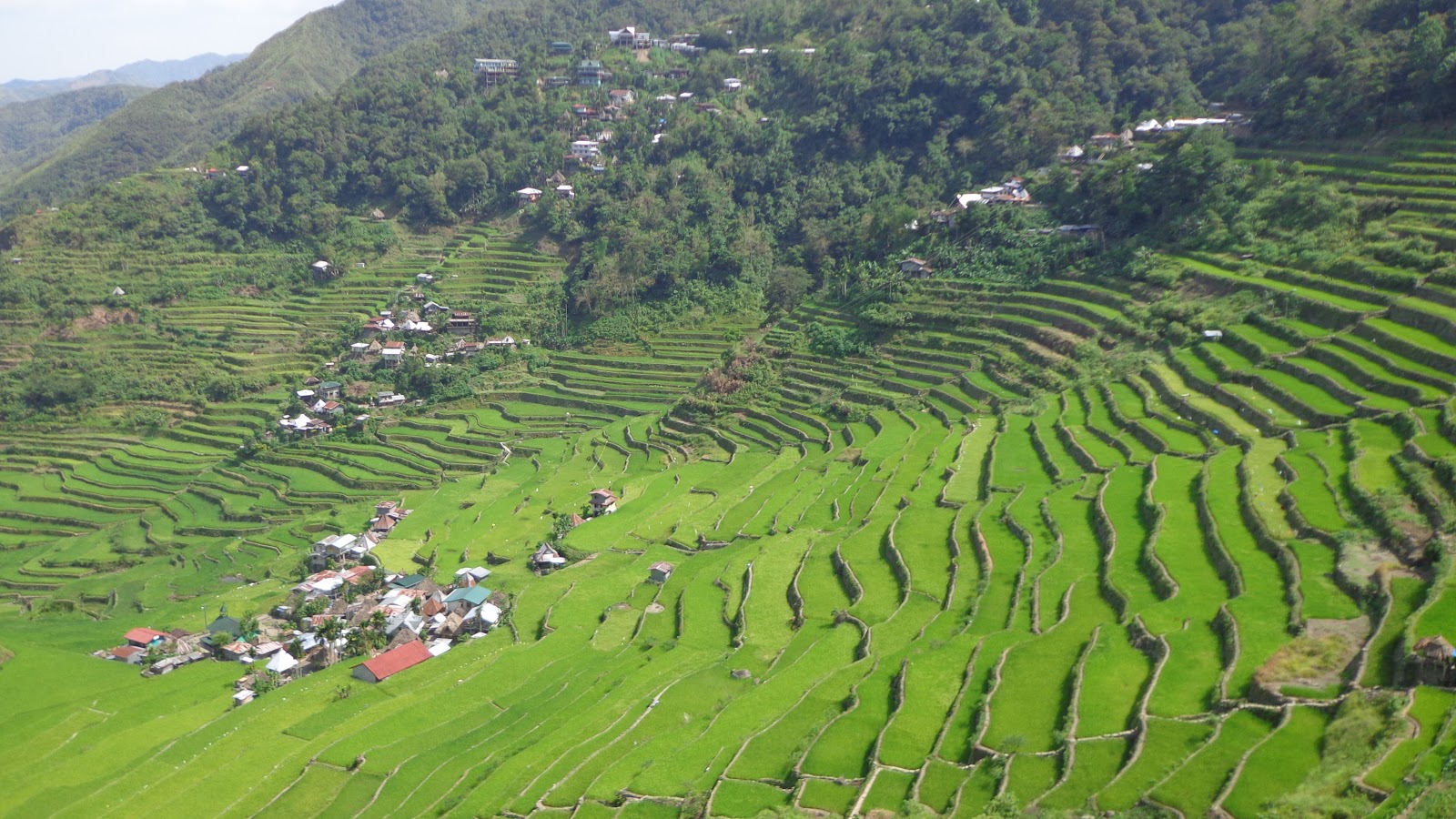 Travel Guide Budget and Itinerary for Batad - The Wandering Juan
