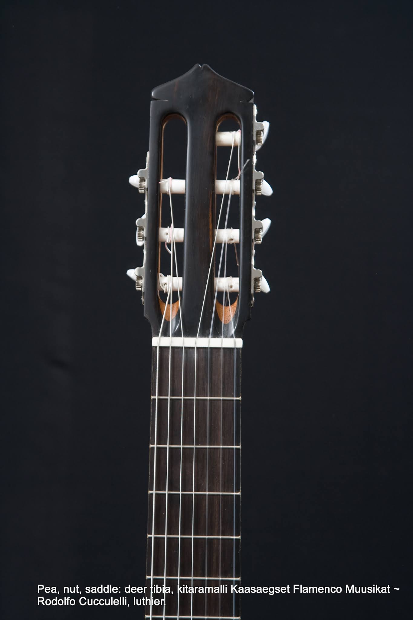 Guitarras custom construídas por Rodolfo Cucculelli, Luthier: 7-keelne ...