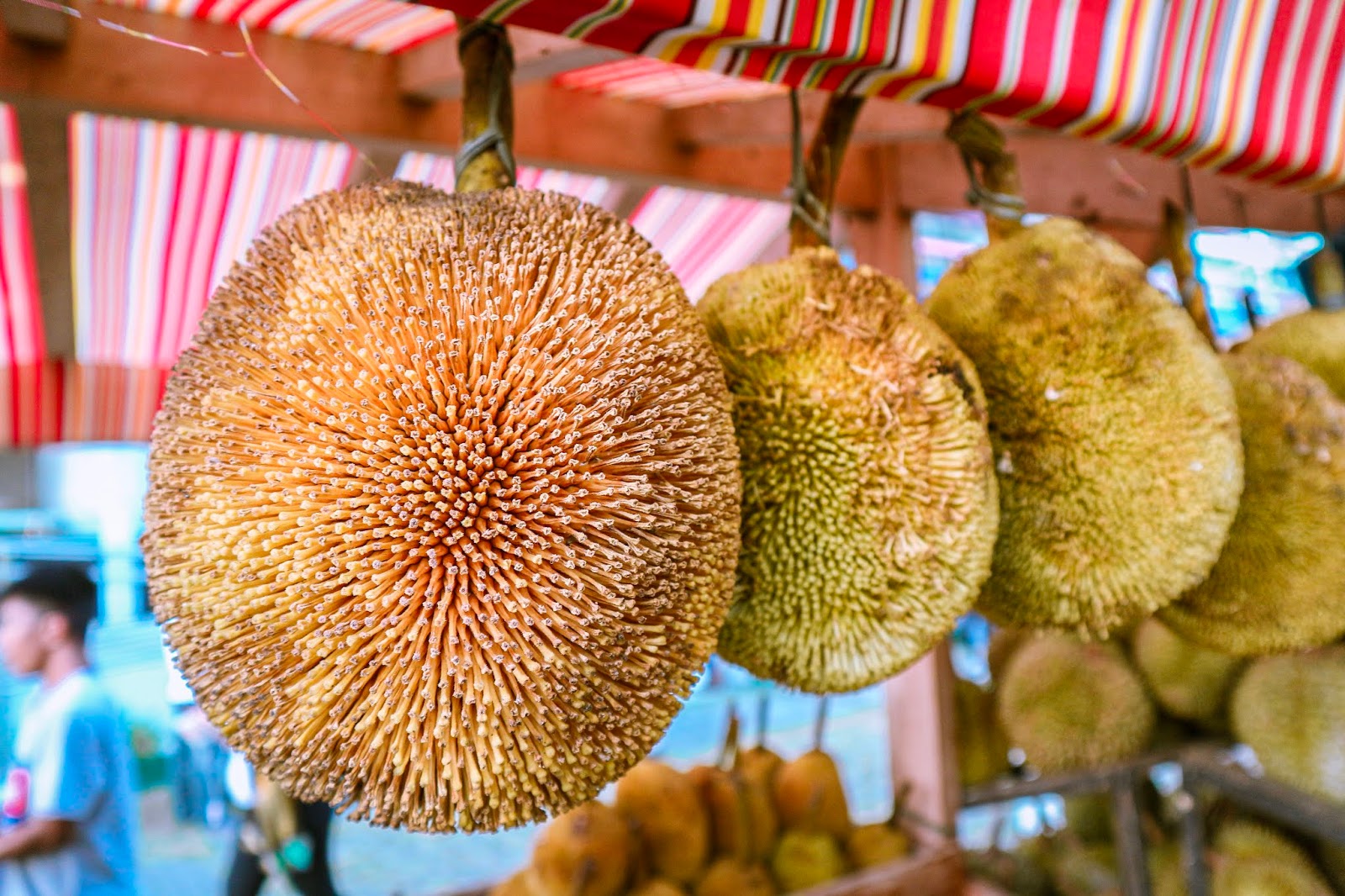 Kadayawan Durian Festival 2019 - Eat Well. Travel Often