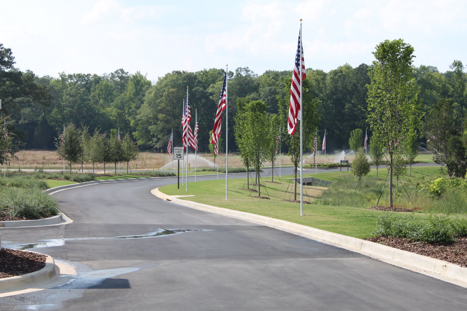 The Chestnut Burr: Alabama National Cemetery