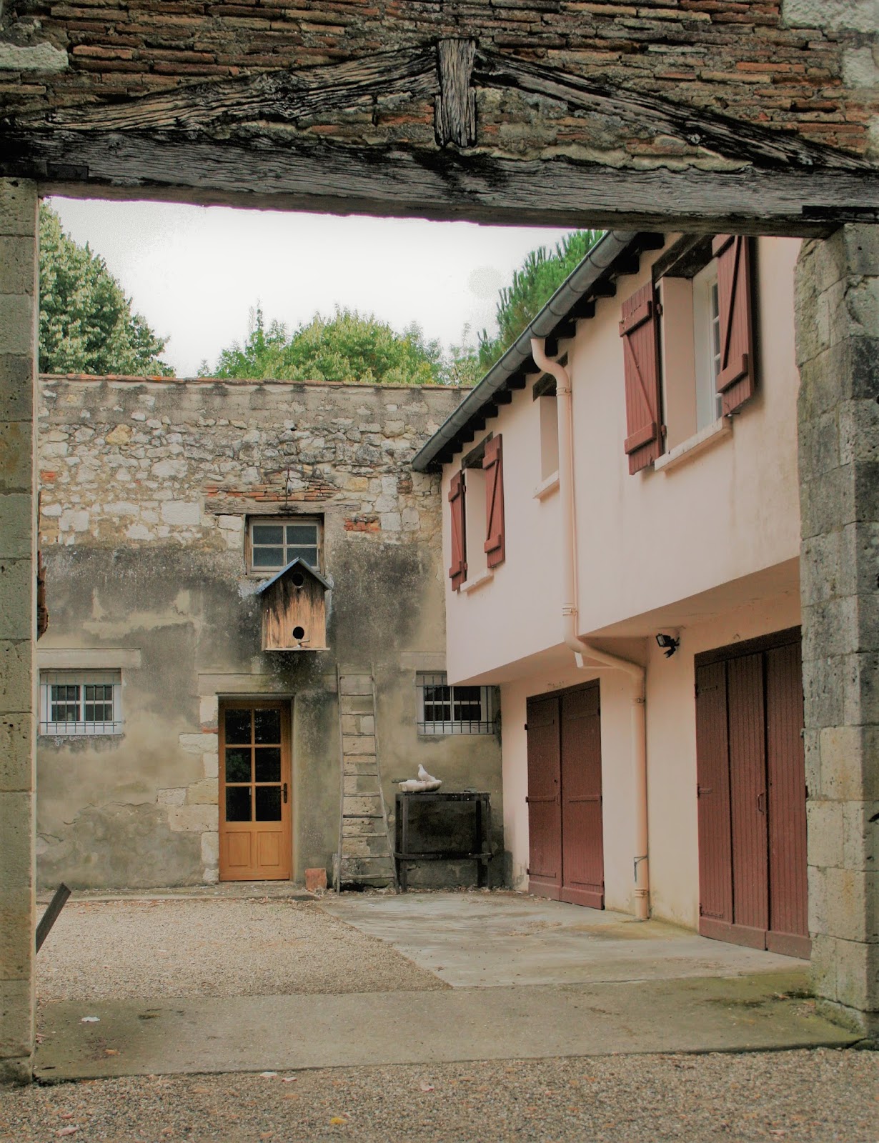 Beth Haslam - Author of the Fat Dogs and French Estates series: The Bee ...