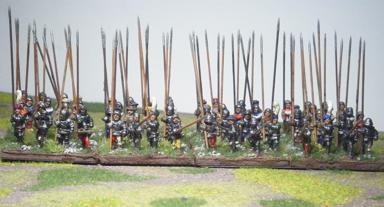 Analogue Hobbies: From TamsinP: 15mm Swiss Pikemen (512 points)