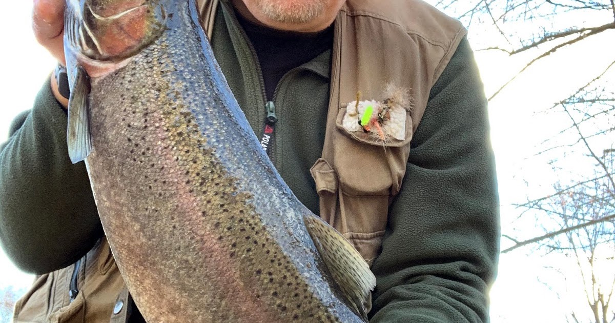 Michigan Steelhead Report: Steelhead 2021