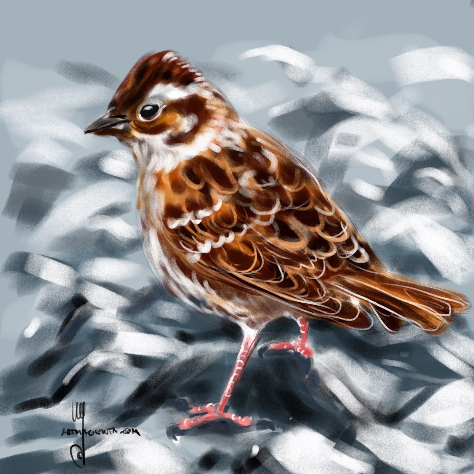 Birds: Rustic Bunting