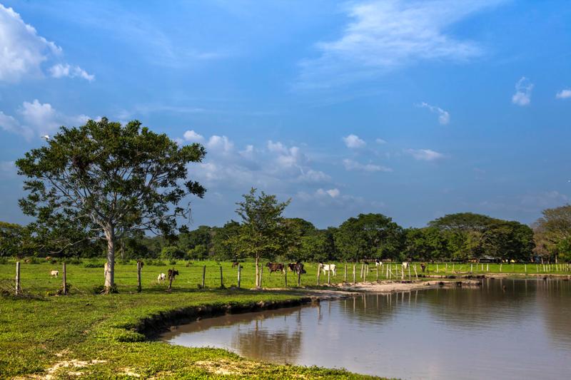 Vive la aventura en Pedraza