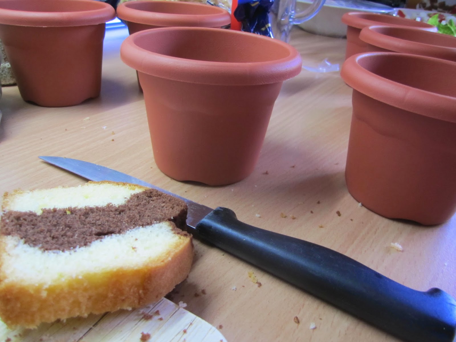 MADRE IMAGINACION: TIERRA COMESTIBLE