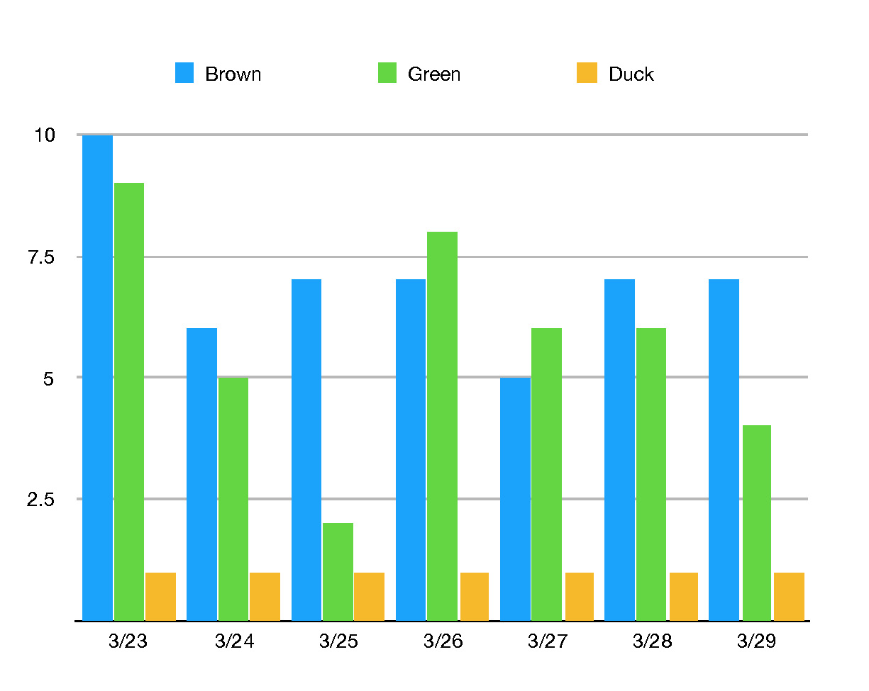Counting Eggs and Graphing - My Welcome Home Farm