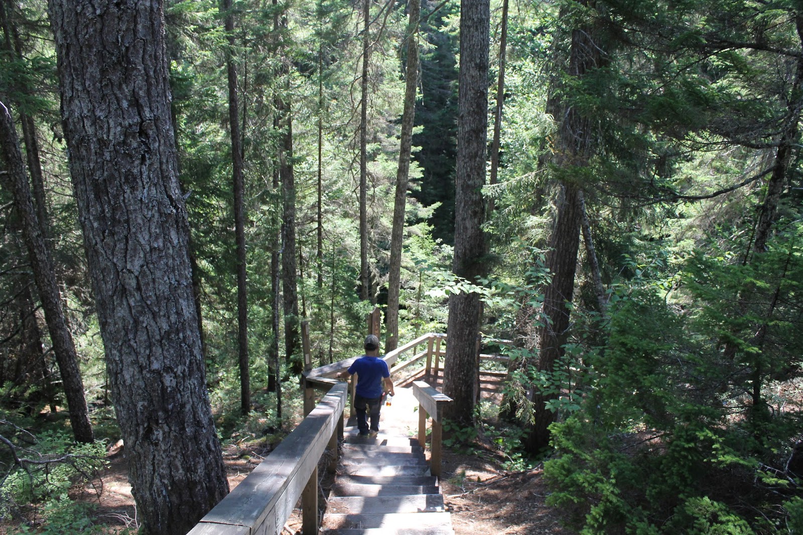 Explore Miramichi With Me: Things to Do: Little Sheephouse Falls