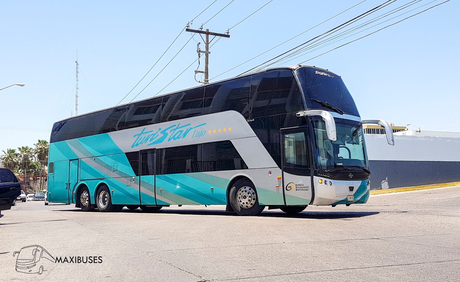 MAXIBUSES: TURISTAR LUJO
