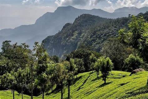 ESOTERICA: LA BRUJERÍA QUE SE EFECTUABA EN LOS NILGIRIS