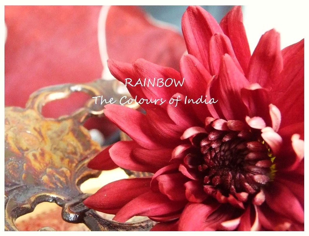 RAINBOW - The Colours of India: May 2012