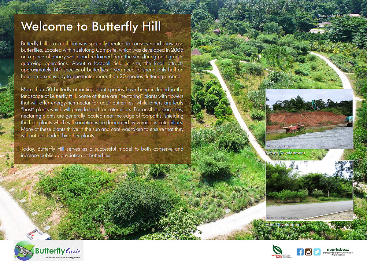 Butterflies of Singapore: Interpretative Signage in Butterfly Gardens