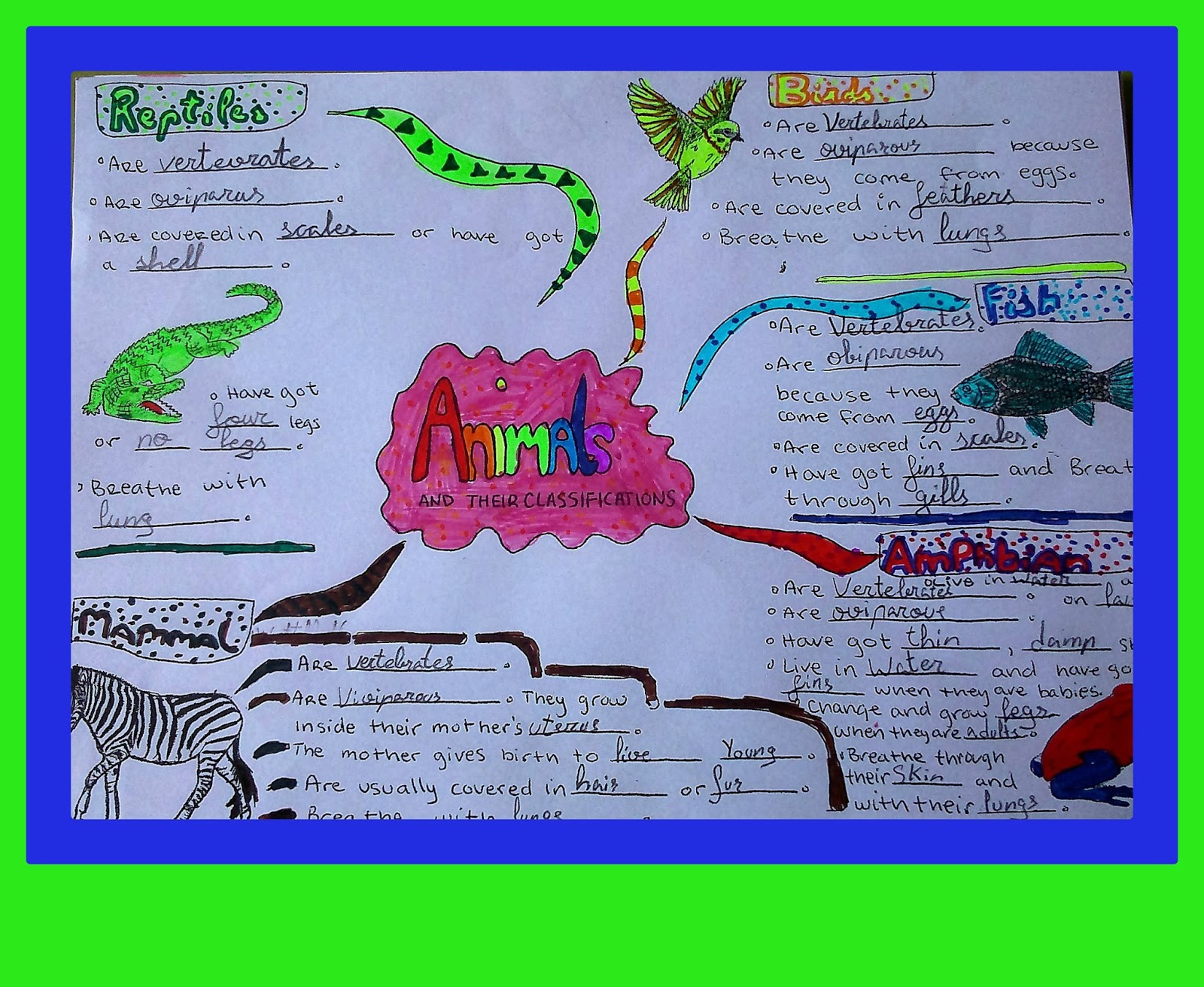 CEIP. AMADOR DE LOS RÍOS: ANIMALS AND THEIR CLASSIFICATIONS
