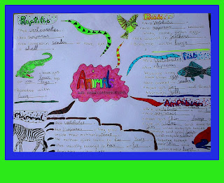 CEIP. AMADOR DE LOS RÍOS: ANIMALS AND THEIR CLASSIFICATIONS