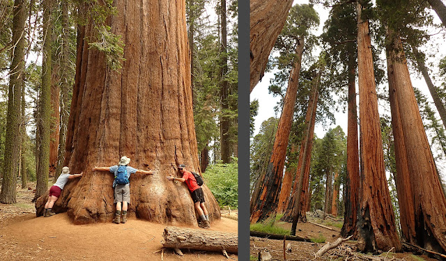 Walking Stockholm: Travels