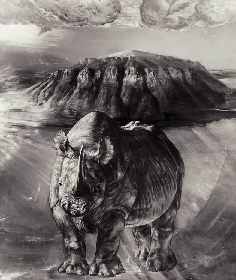 El Hurgador [Arte en la Red]: Rinocerontes / Rhinos (CIV)