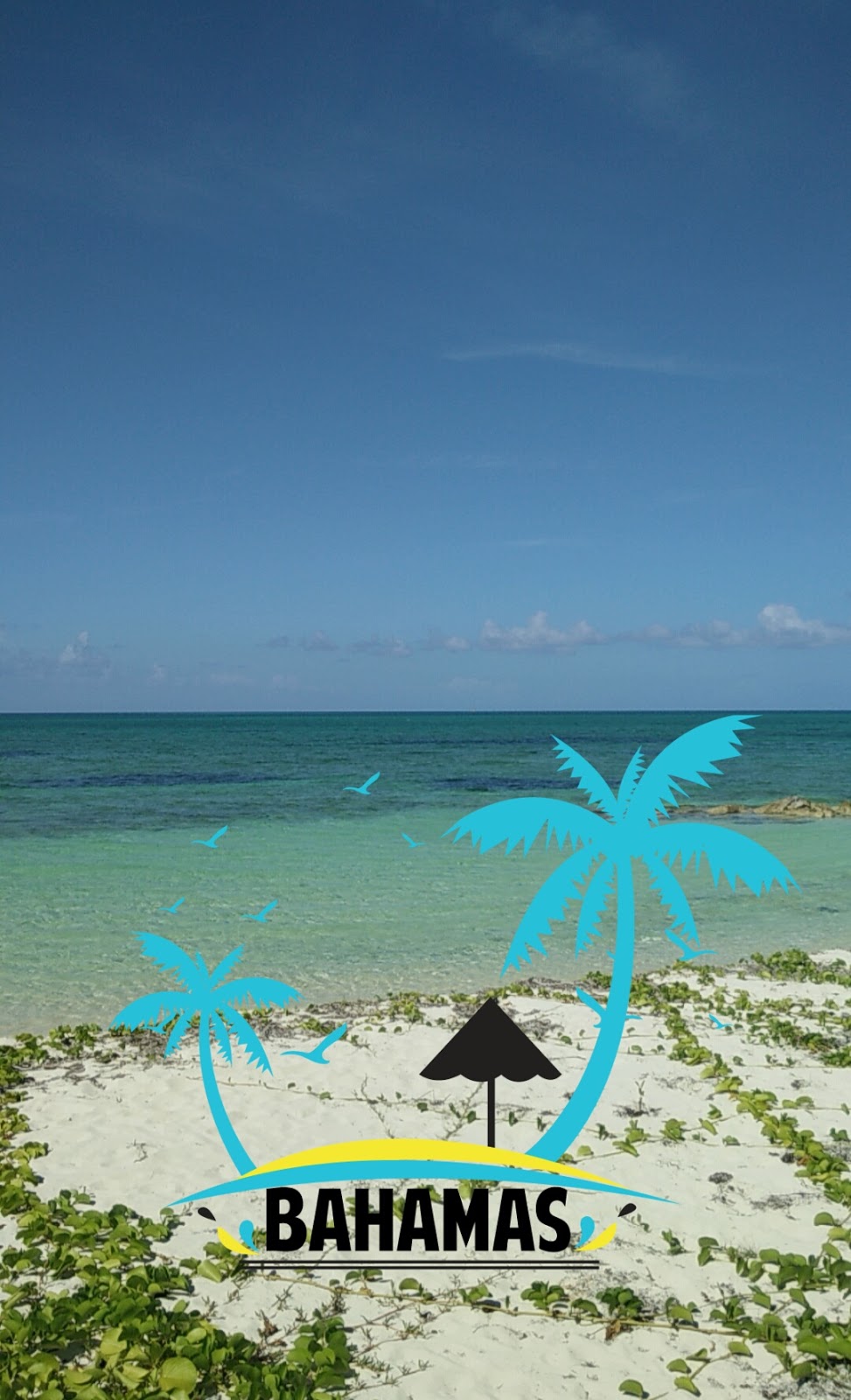 Small Hope Bay Lodge Andros Island Bahamas: Small Hope Bay Lodge is now ...