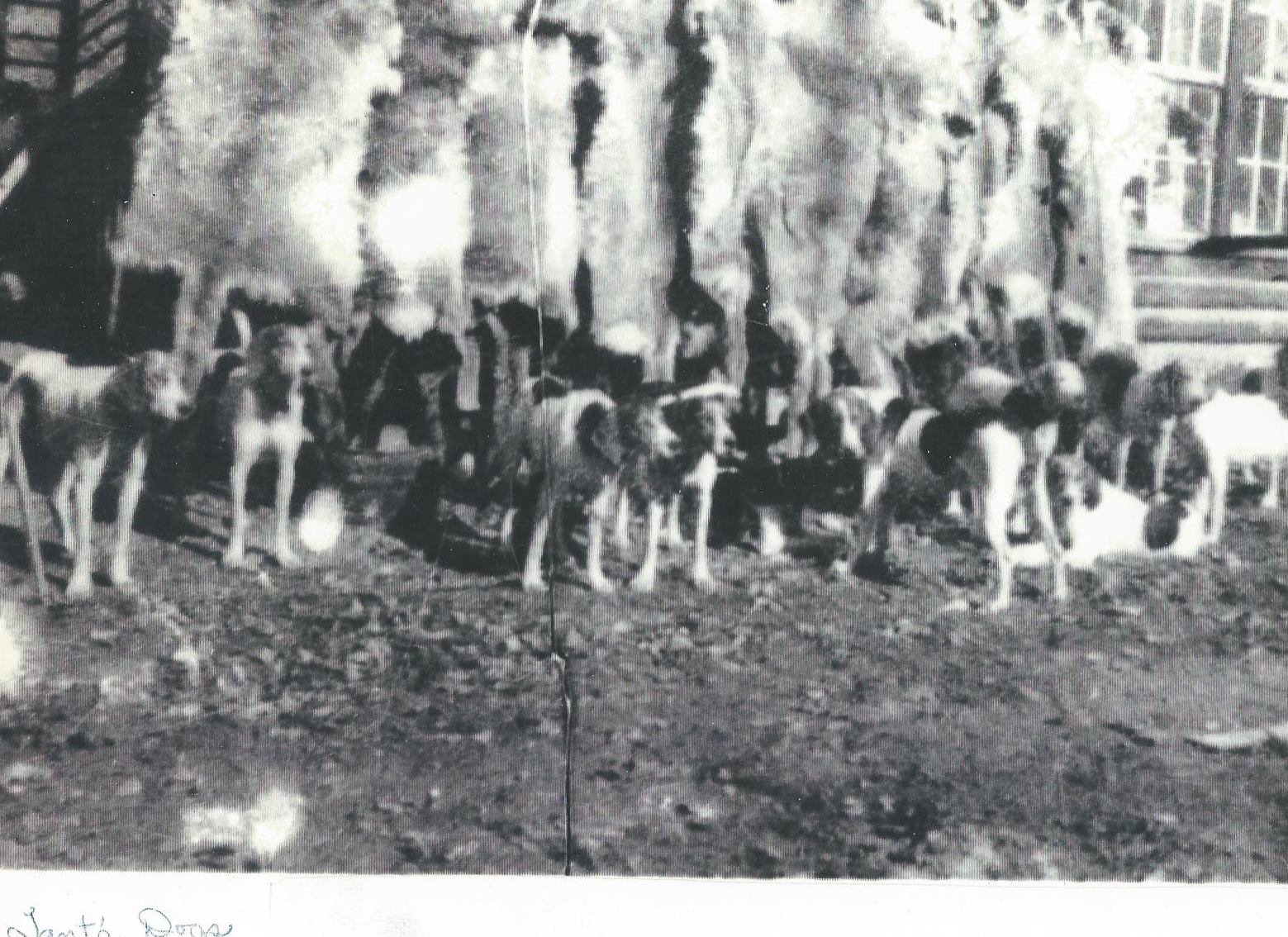 Sons of Savages: Early Lion Hunters, Charlie Tant and Jay Bruce both ...