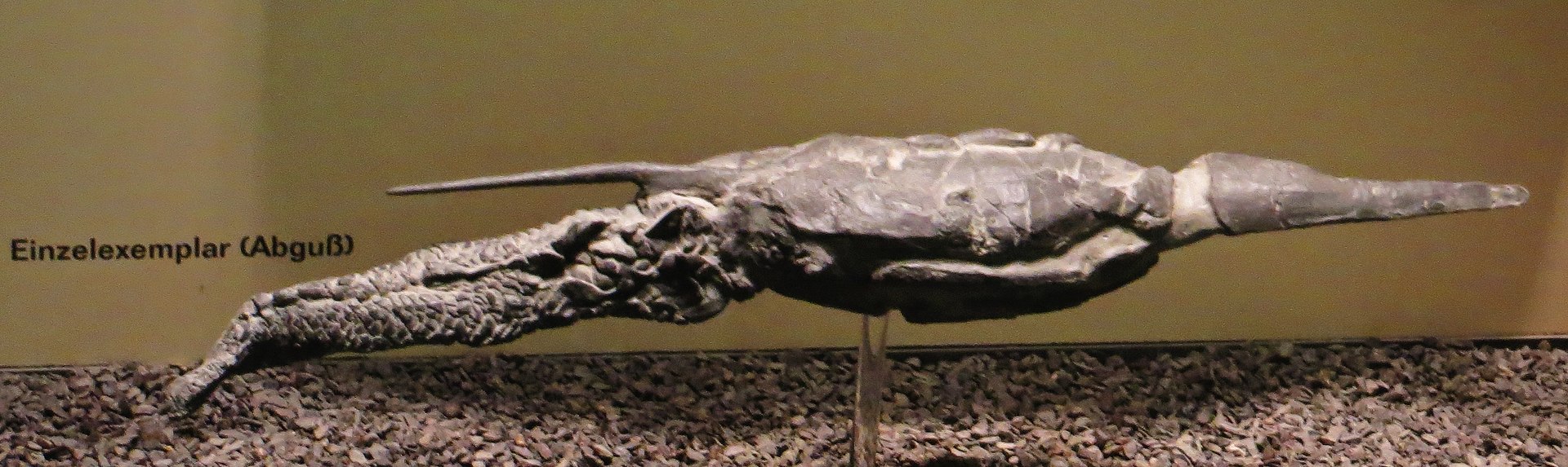 Middle-Devonian Life III: Vertebrates