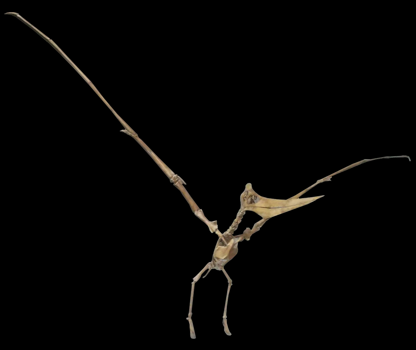 The Expeditioner's Discovery Guild: A little bit of Everything: Museums ...