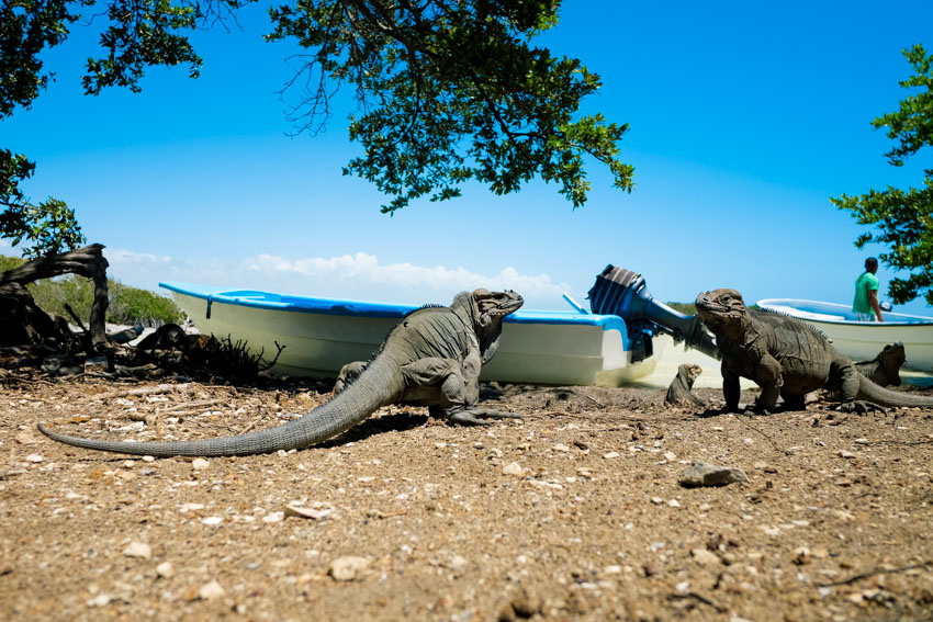 life: Bahia de las águilas