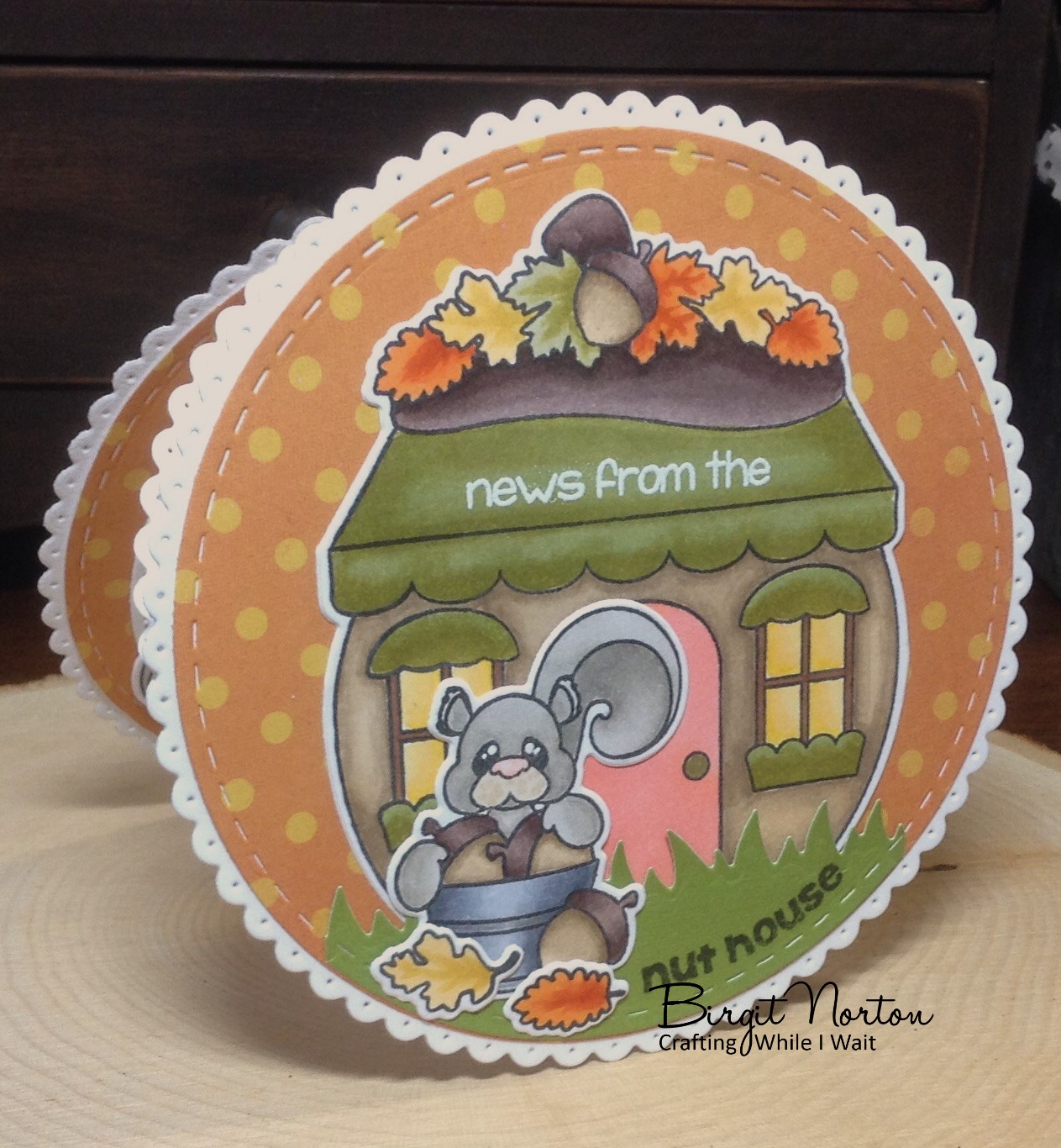 Crafting While I Wait: Nut House ~ TupeloDesignsLLC