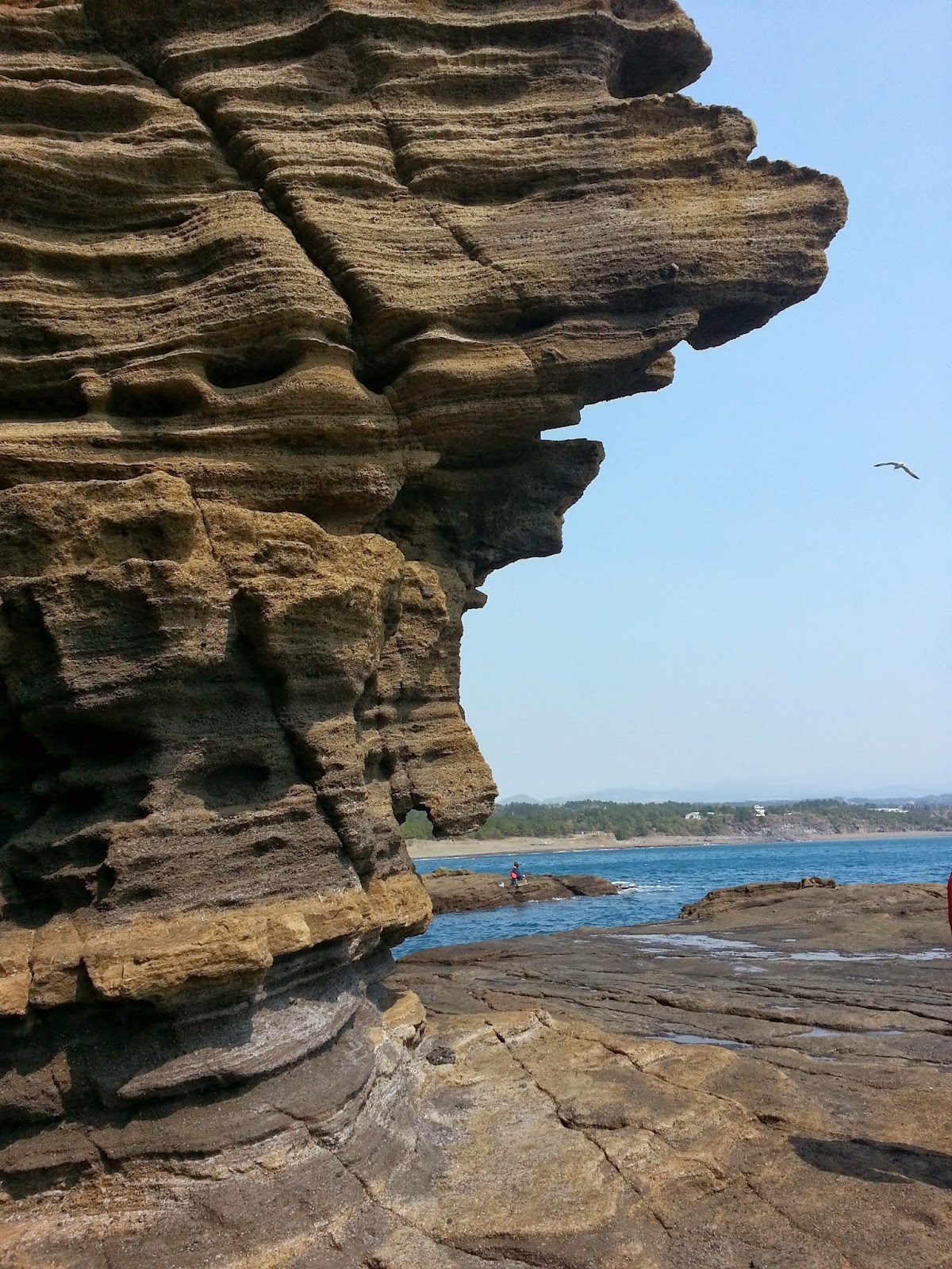 Ramblings from a Rock: Jeju Island Love