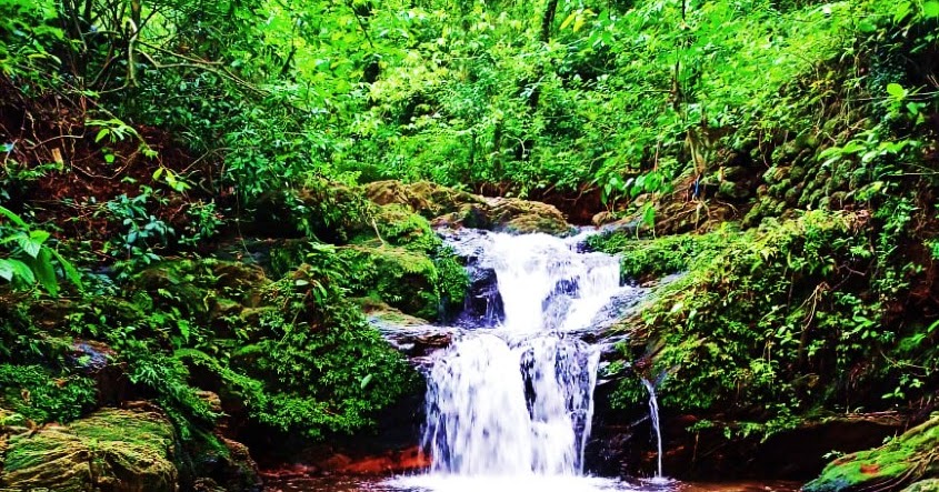 Goa - My Dream Destination: Waterfalls in Goa