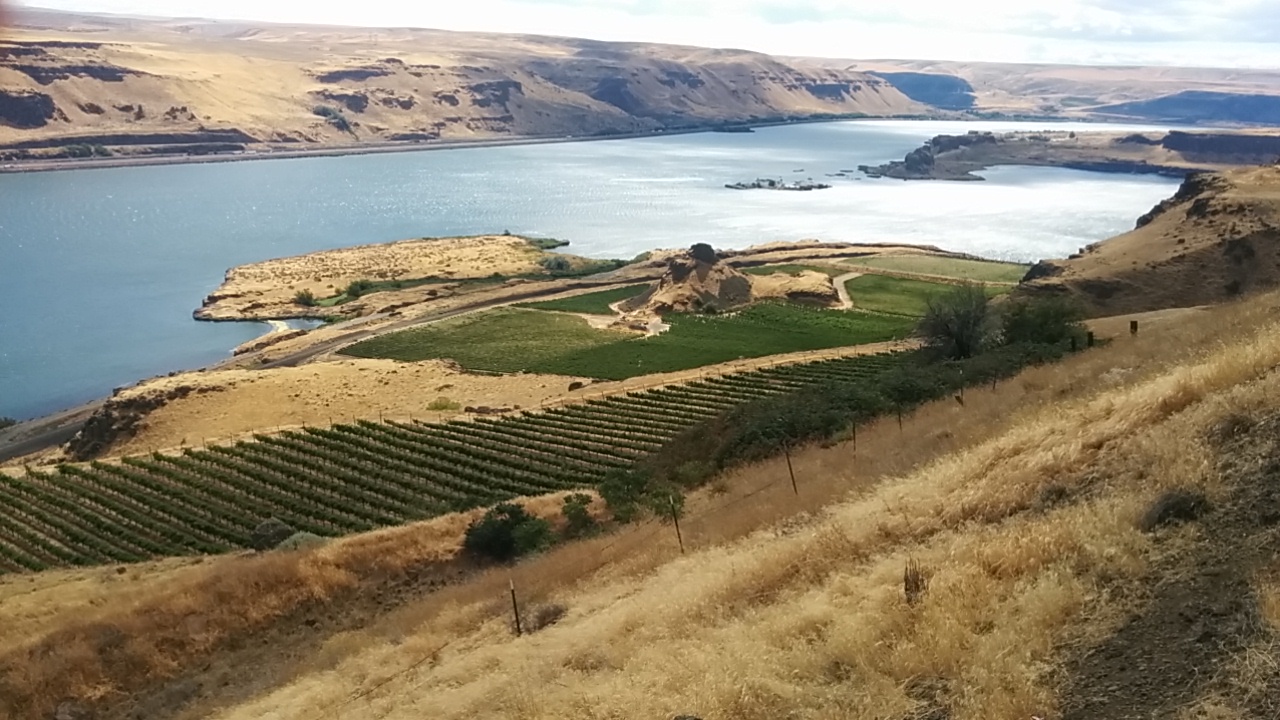 Got it, Cook it: Maryhill, WA Adventure- Fine Art, Wine & Stonehenge?
