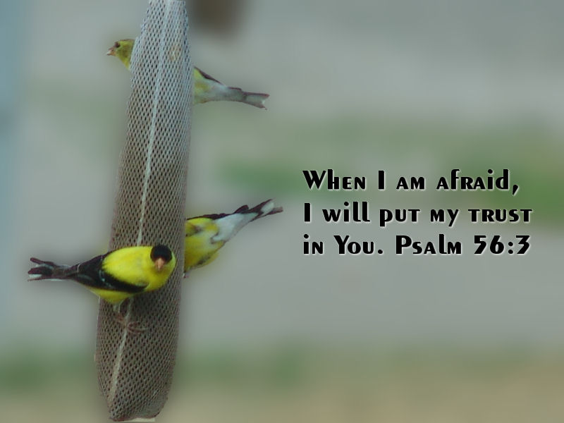 Bible Study On Promises Of God Bible Study On Promises Of God