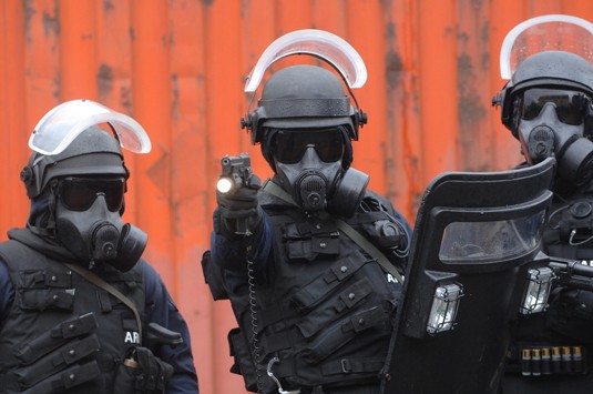 Gsg9 1/87 Unité spéciale: ACVILA – GSPI Grupul Special de Protectie si ...