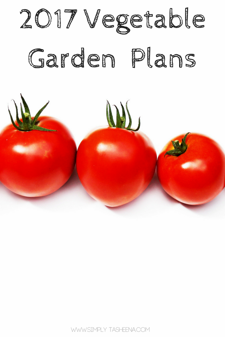 2017 Vegetable Garden Plans - Simply Tasheena