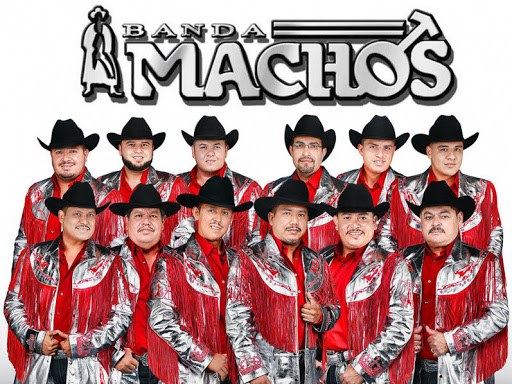 DISCOGRAPHIAS: BANDA MACHOS
