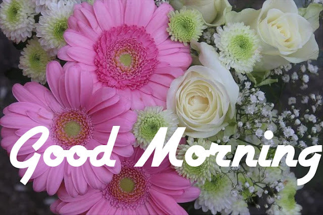 Top 10 Good Morning Images greating Pictures,Photos for Whatsapp ...