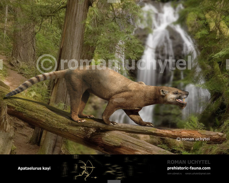 Escenarios prehistóricos: Apataelurus