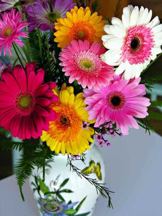 The Northern Bride: Rainbow Gerbera