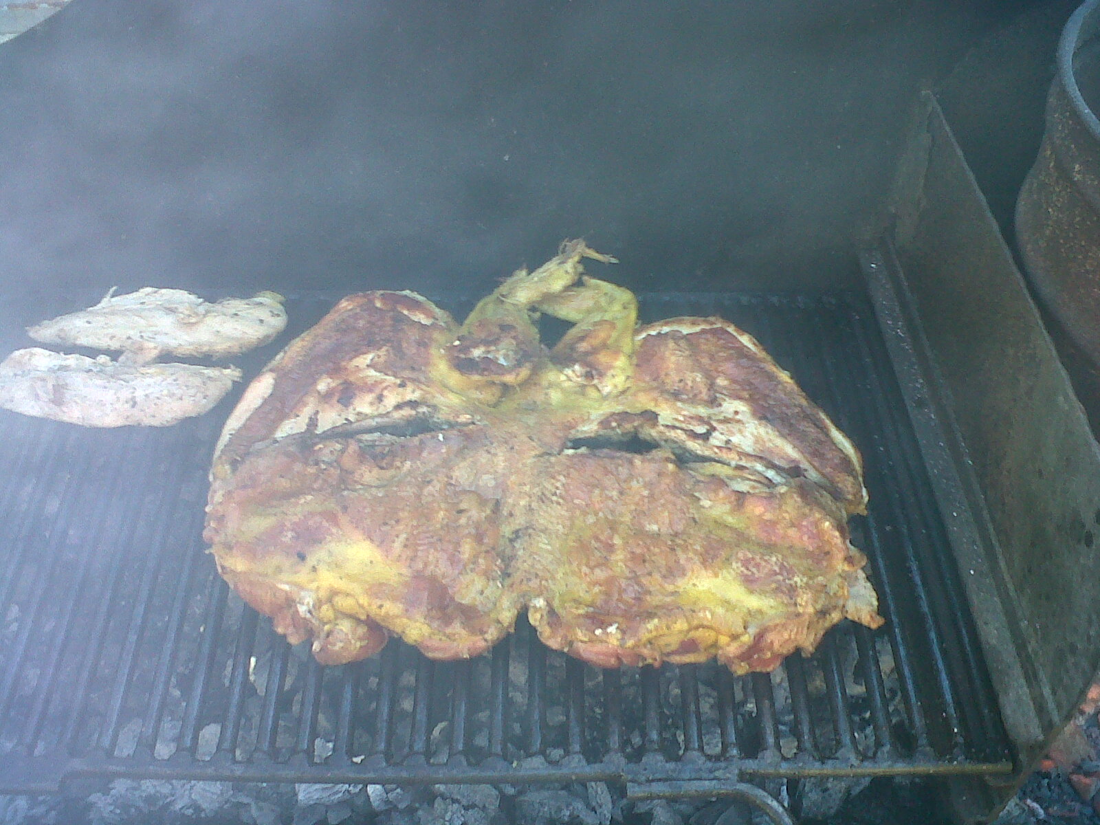 Sobre comidas y libros: Pollo Atropellado