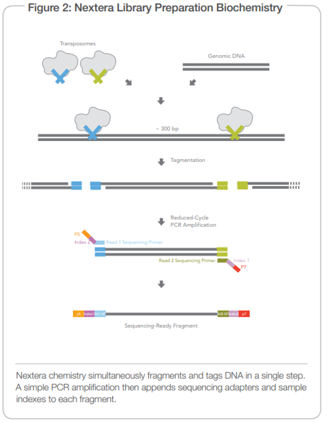 Lee Gir Won: Nextera DNA Flex는 모지?