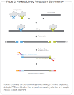 Lee Gir Won: Nextera DNA Flex는 모지?