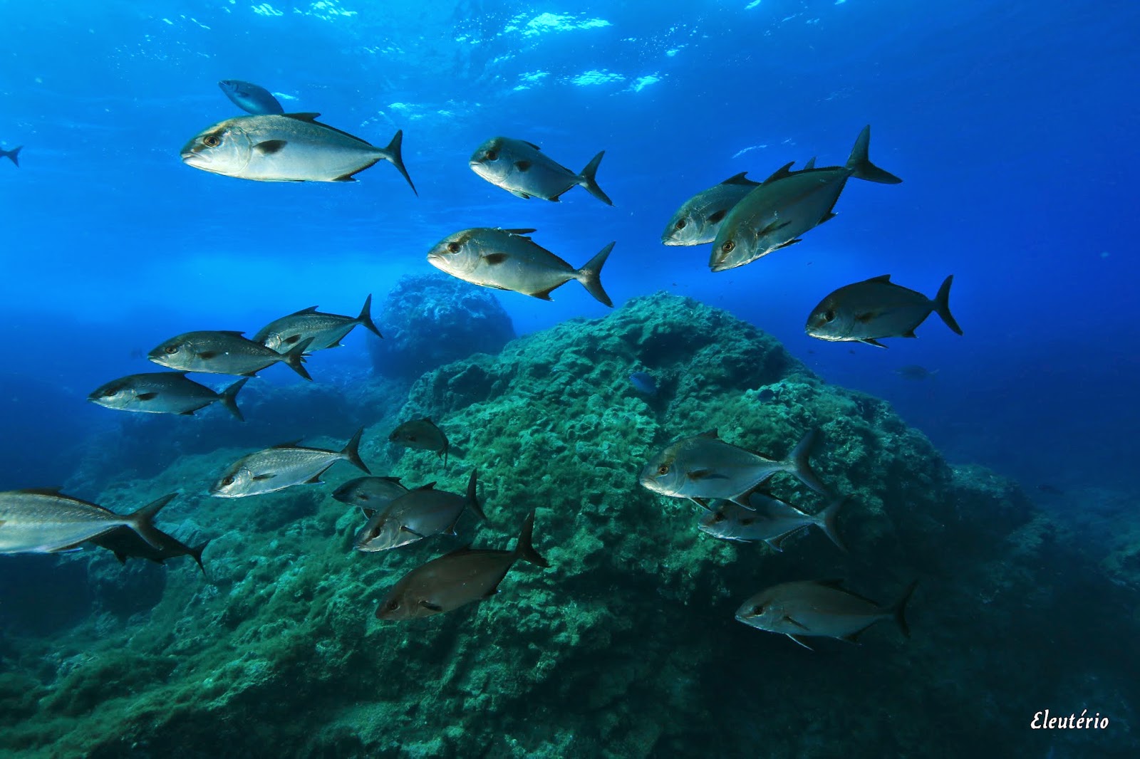 Reserva Natural dos Ilhéus das Formigas