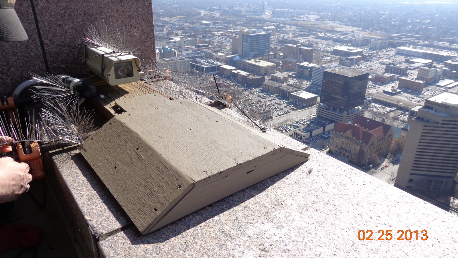 Columbus Peregrine Falcon Update: Ledge Platform Back!